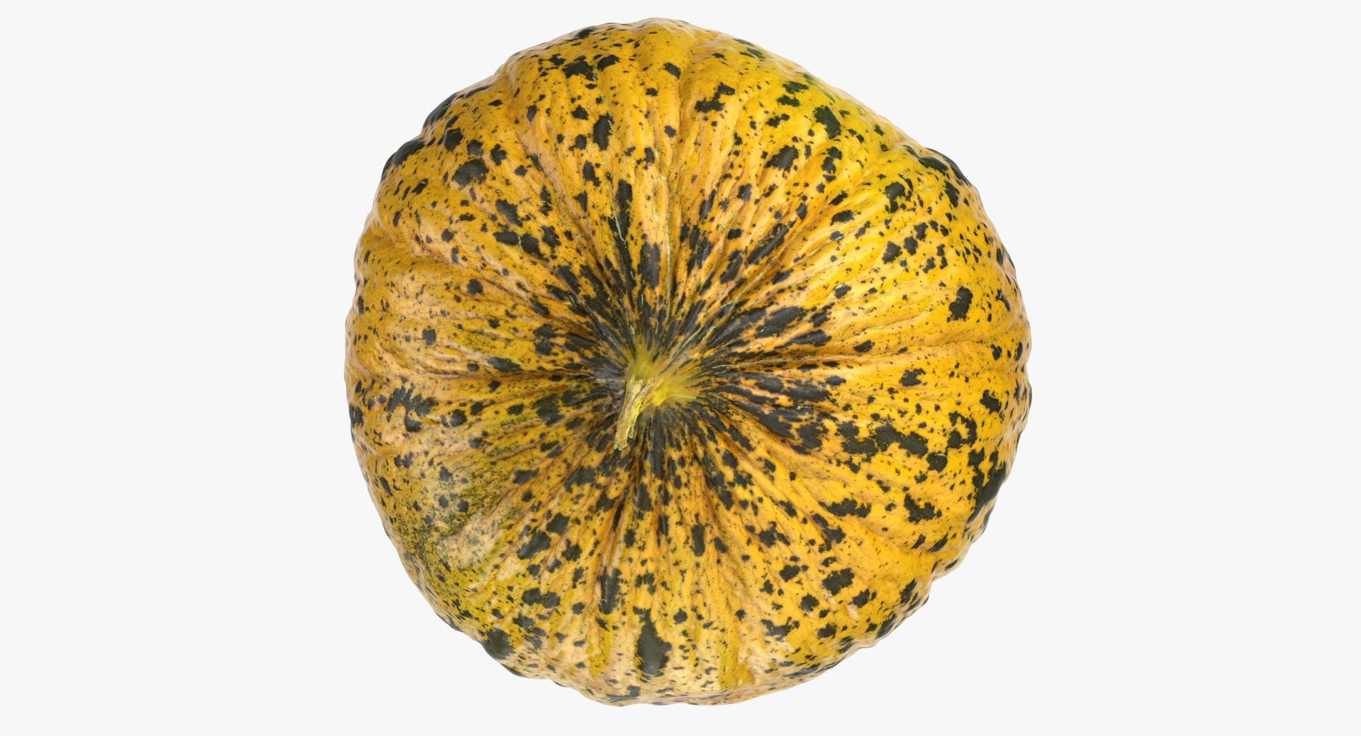 3D Turkish Melon 01 - TurboSquid 1528666