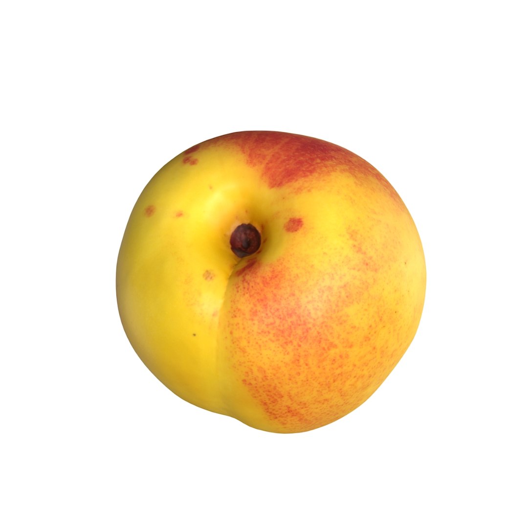 Realistic pbr 4k 3D model - TurboSquid 1434637