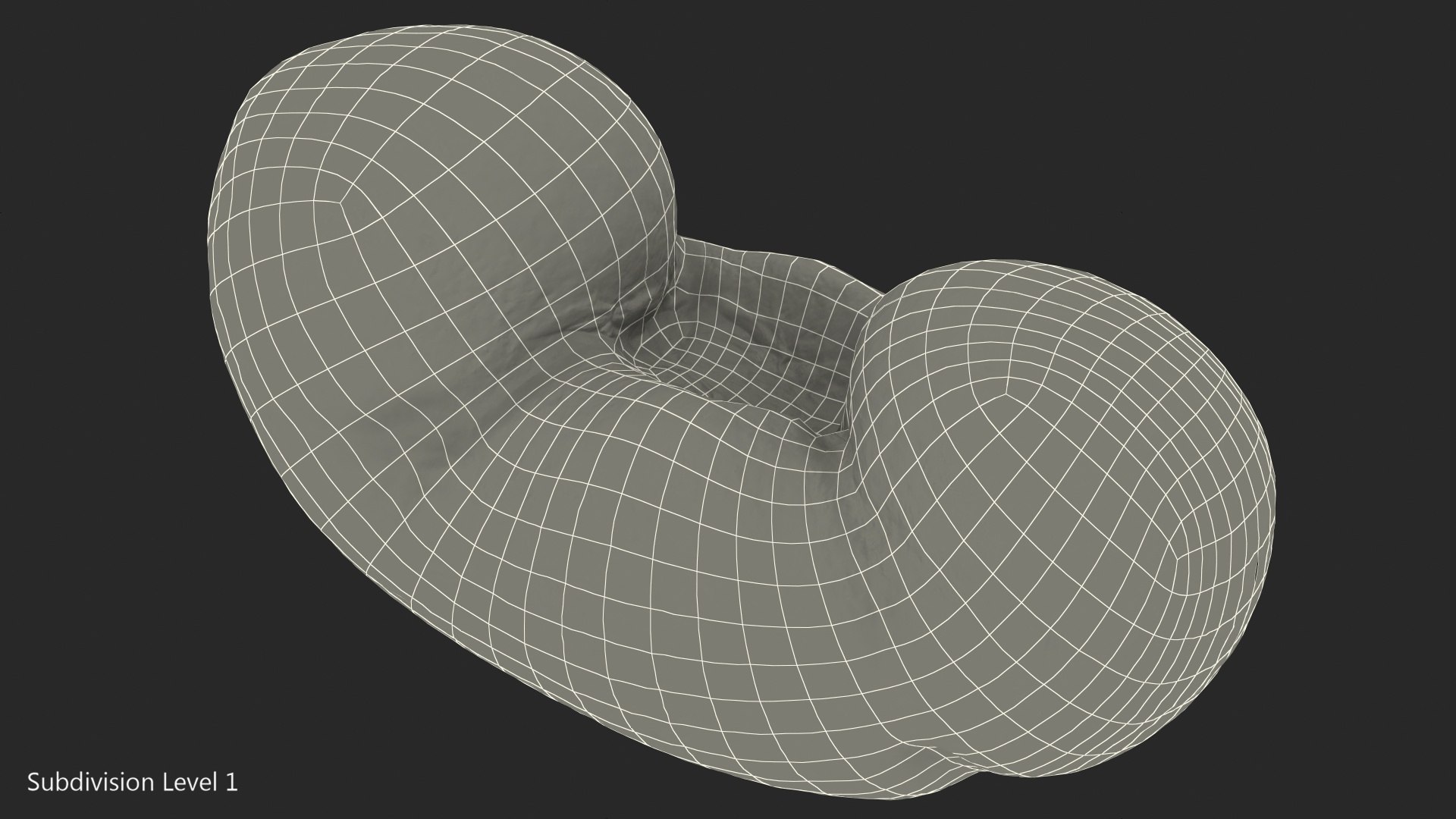 Human Kidney 3D Model - TurboSquid 1453208