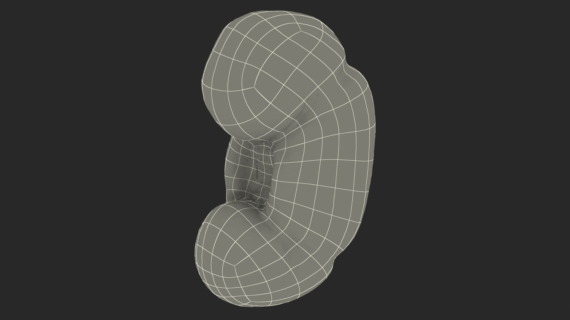 Human Kidney 3D Model - TurboSquid 1453208