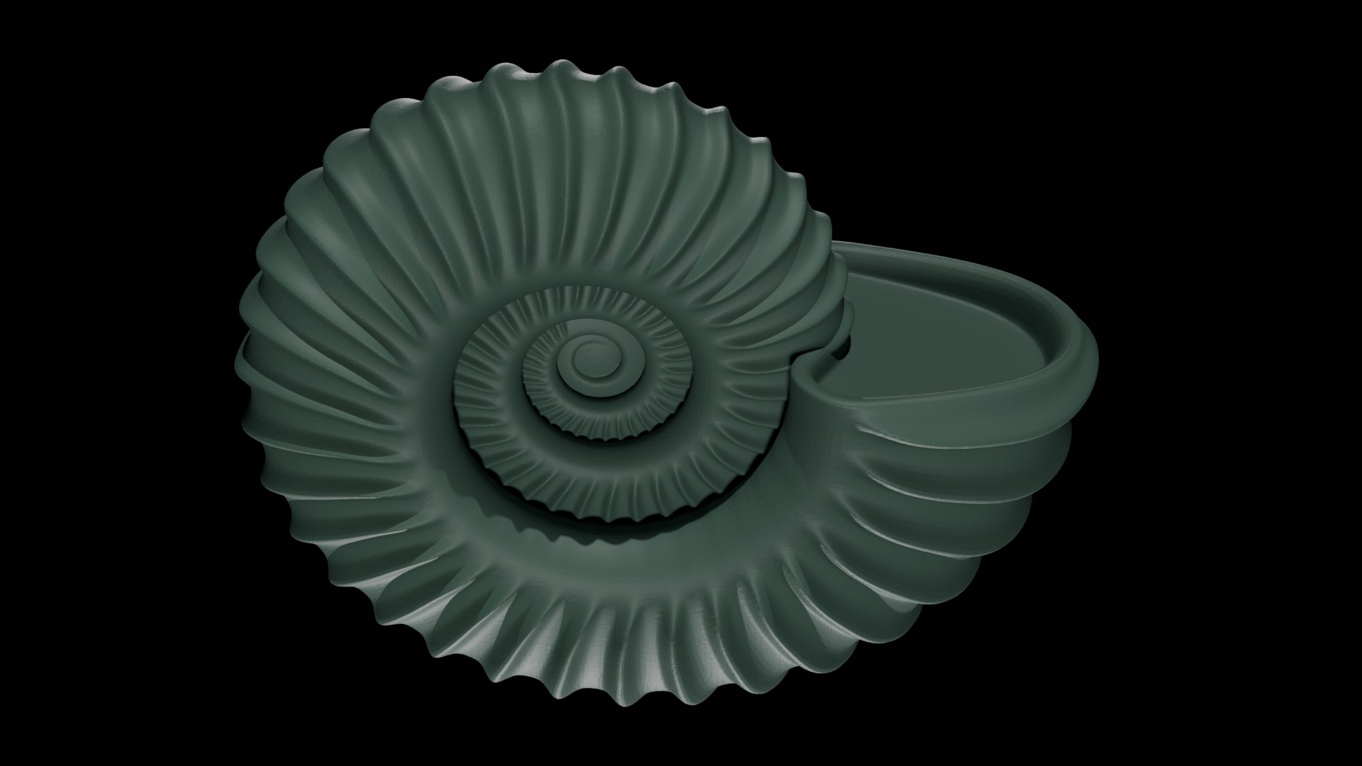 Ammonoid Shell With Strong Plicate Ribs 3D - TurboSquid 2297431