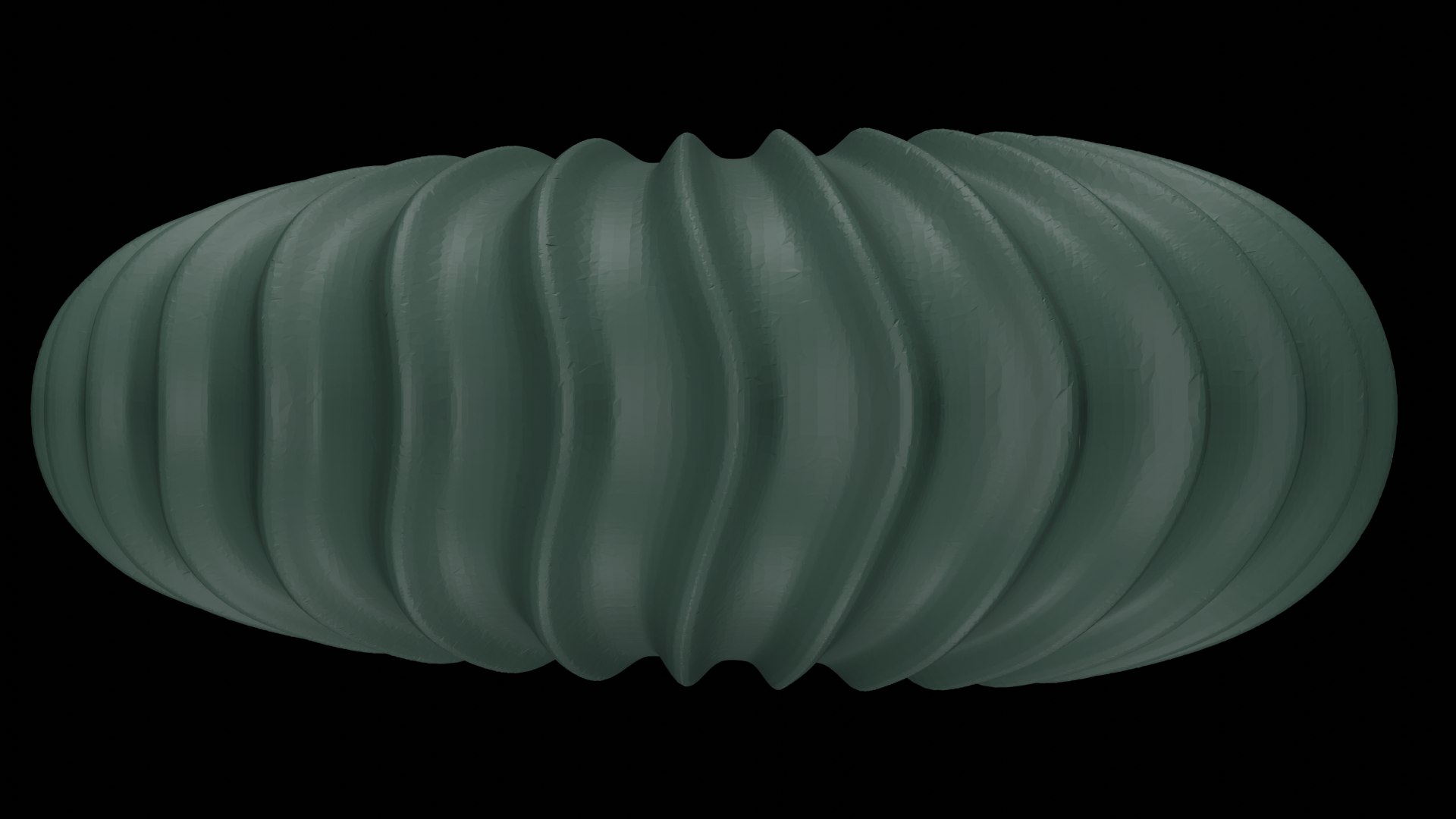 Ammonoid Shell With Strong Plicate Ribs 3D - TurboSquid 2297431