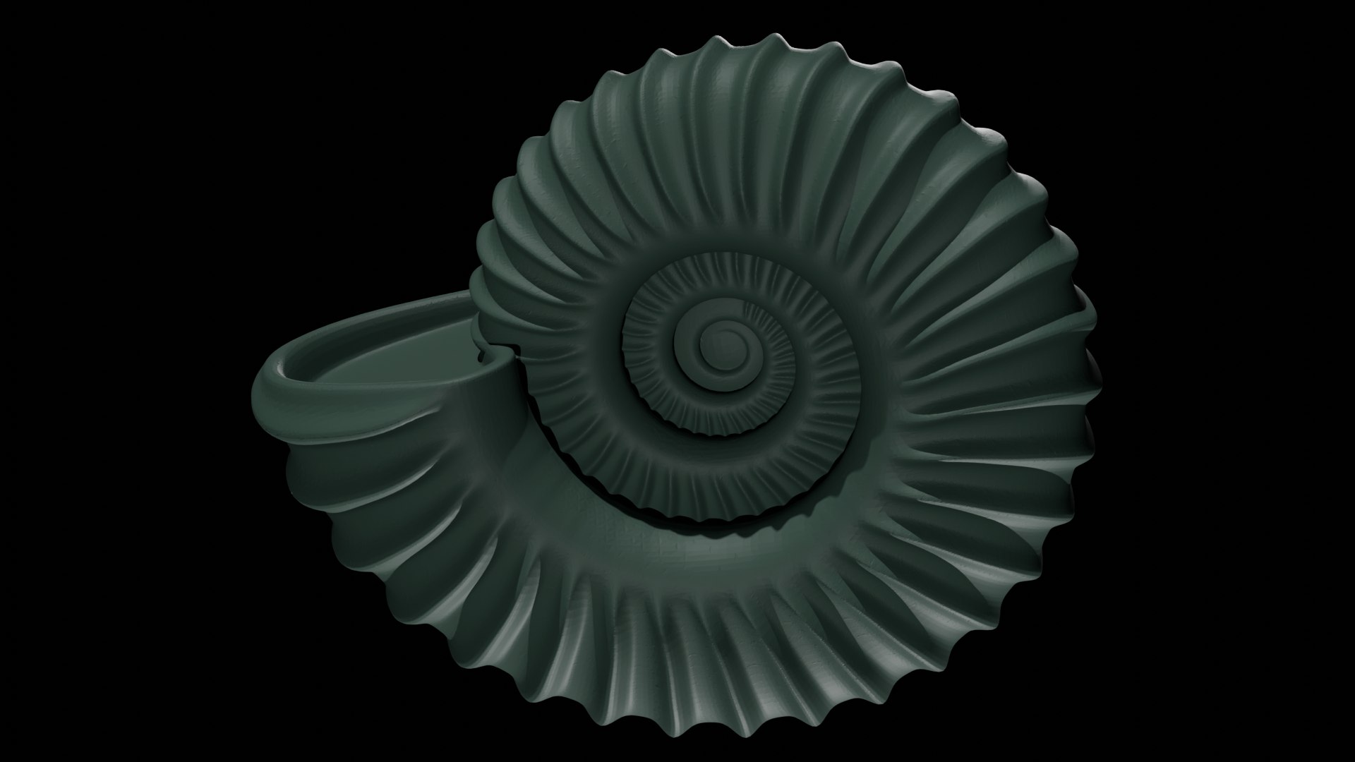 Ammonoid Shell With Strong Plicate Ribs 3D - TurboSquid 2297431