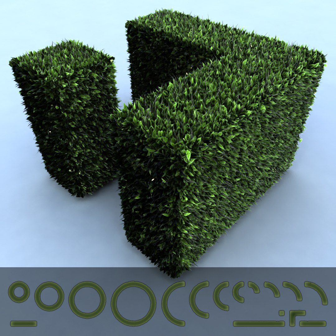 Hedge 3d Model