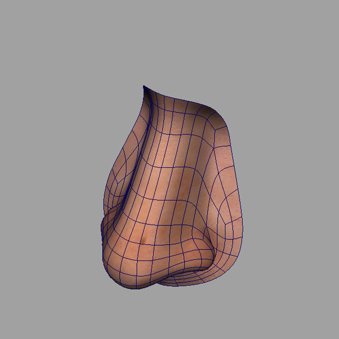 3D Model Realistic Human Nose - TurboSquid 1295655