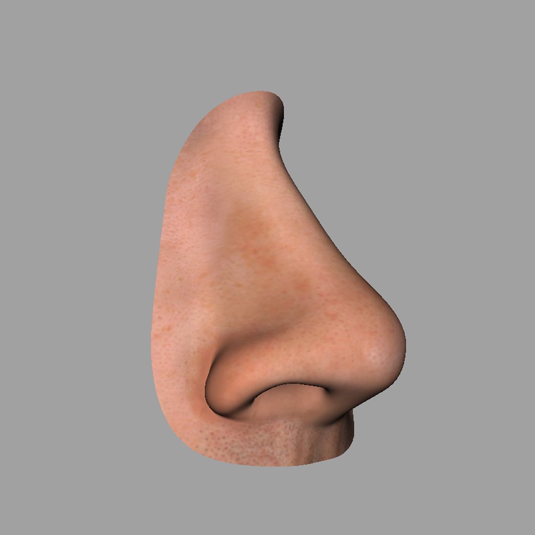 3D Model Realistic Human Nose - TurboSquid 1295655