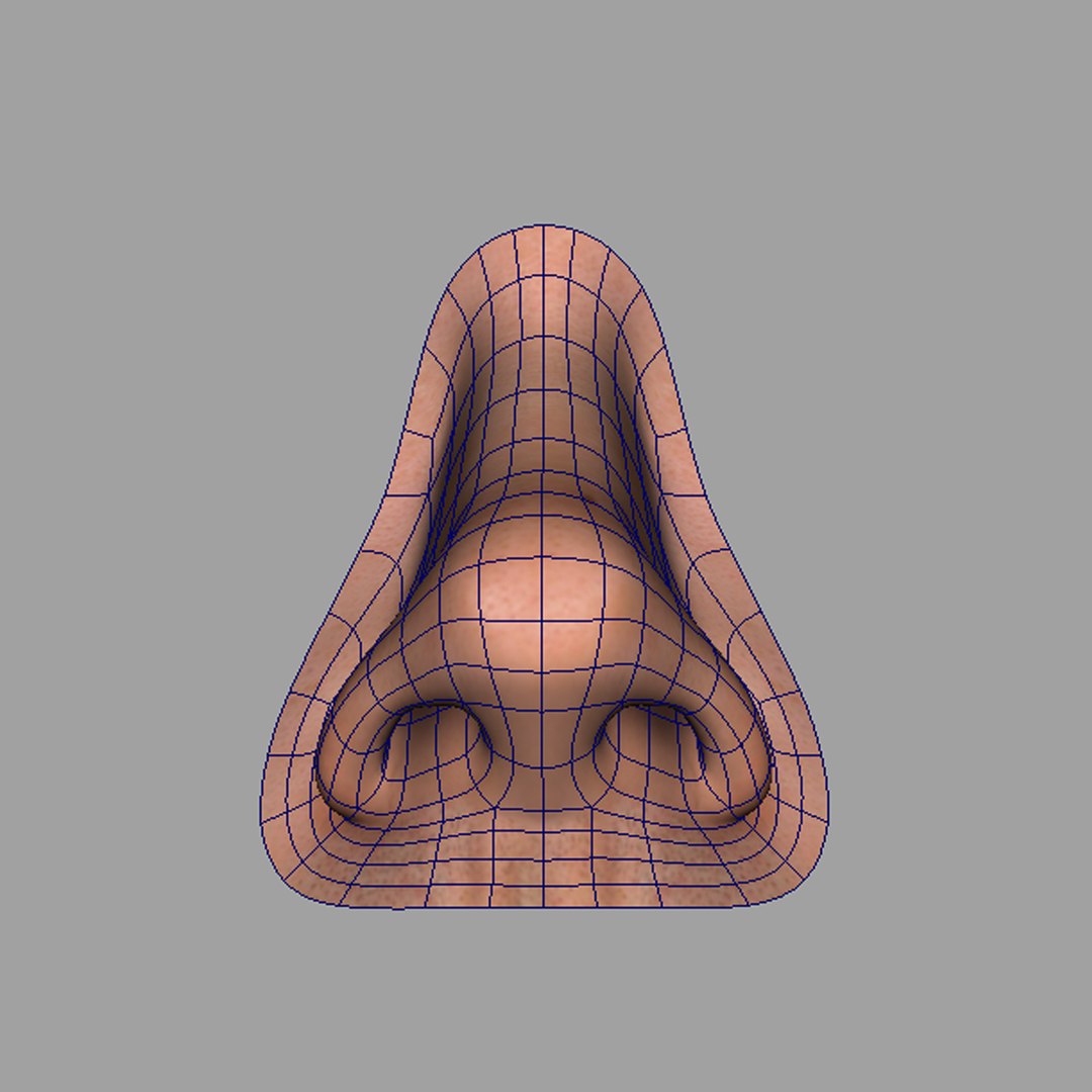 3D Model Realistic Human Nose - TurboSquid 1295655