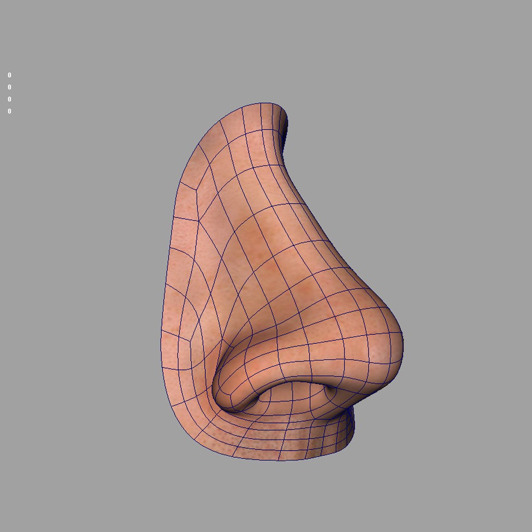 3D Model Realistic Human Nose - TurboSquid 1295655