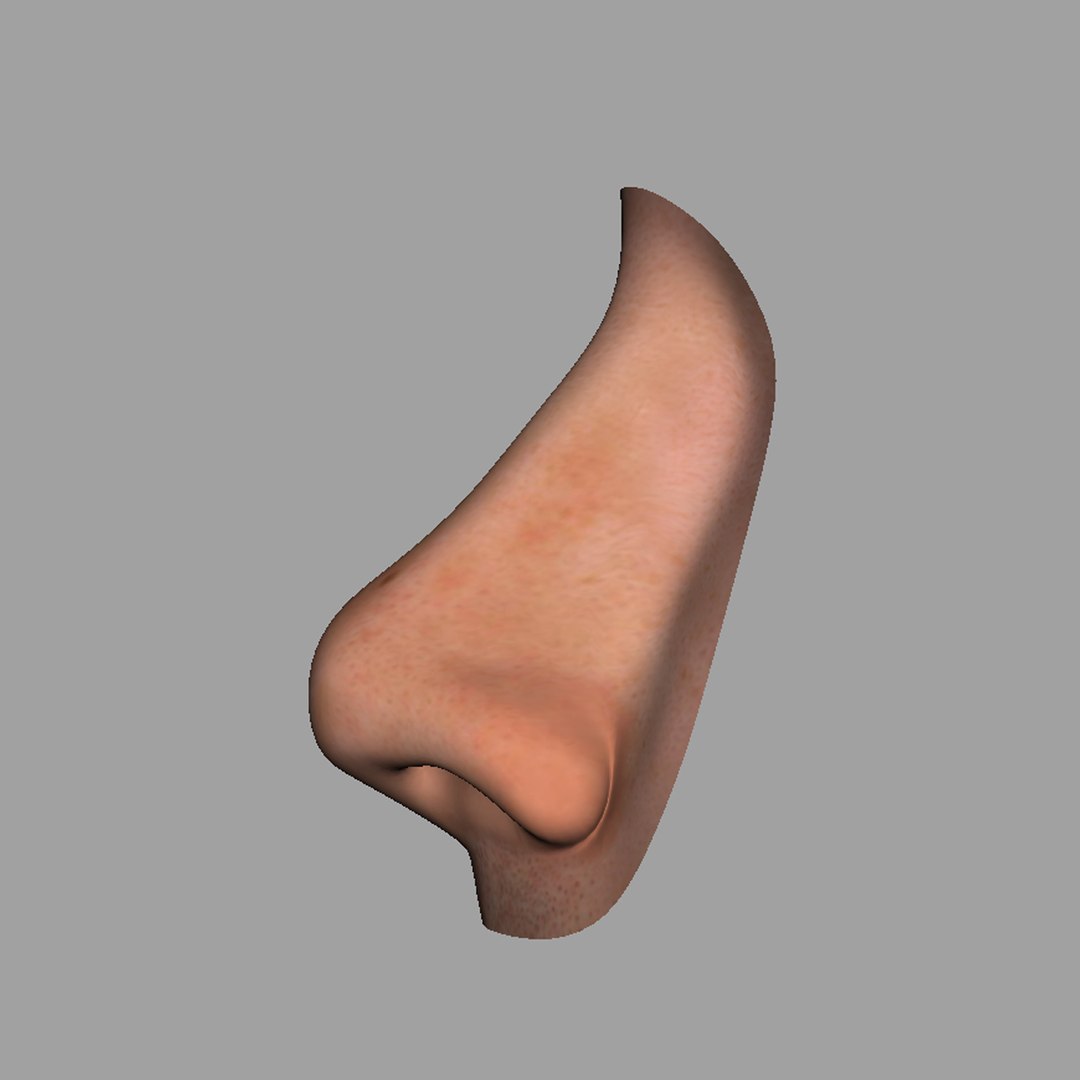 3D Model Realistic Human Nose - TurboSquid 1295655
