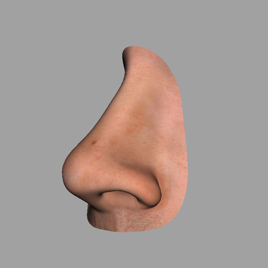 3D Model Realistic Human Nose - TurboSquid 1295655