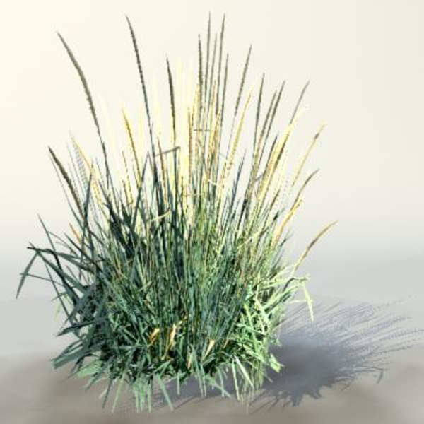 3ds max pc grass