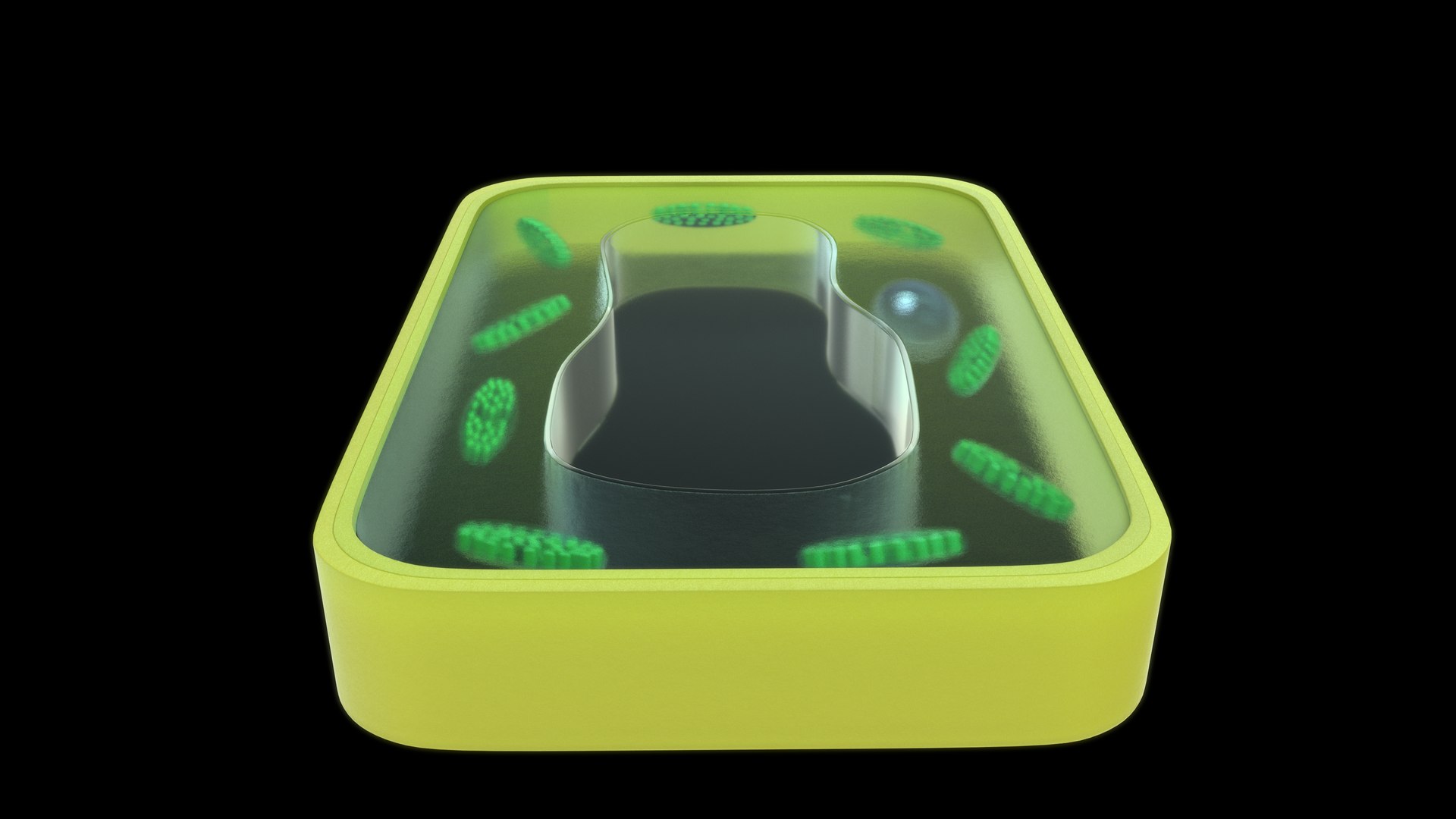 Cytoplasm 3D - TurboSquid 2205393