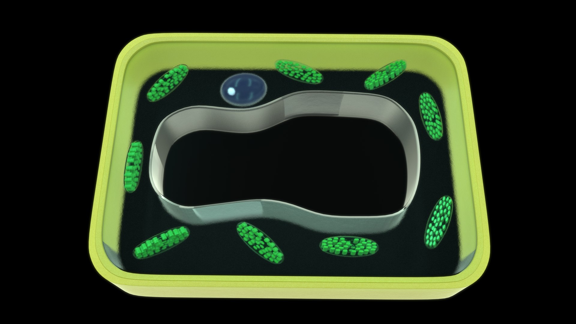 Cytoplasm 3D - TurboSquid 2205393