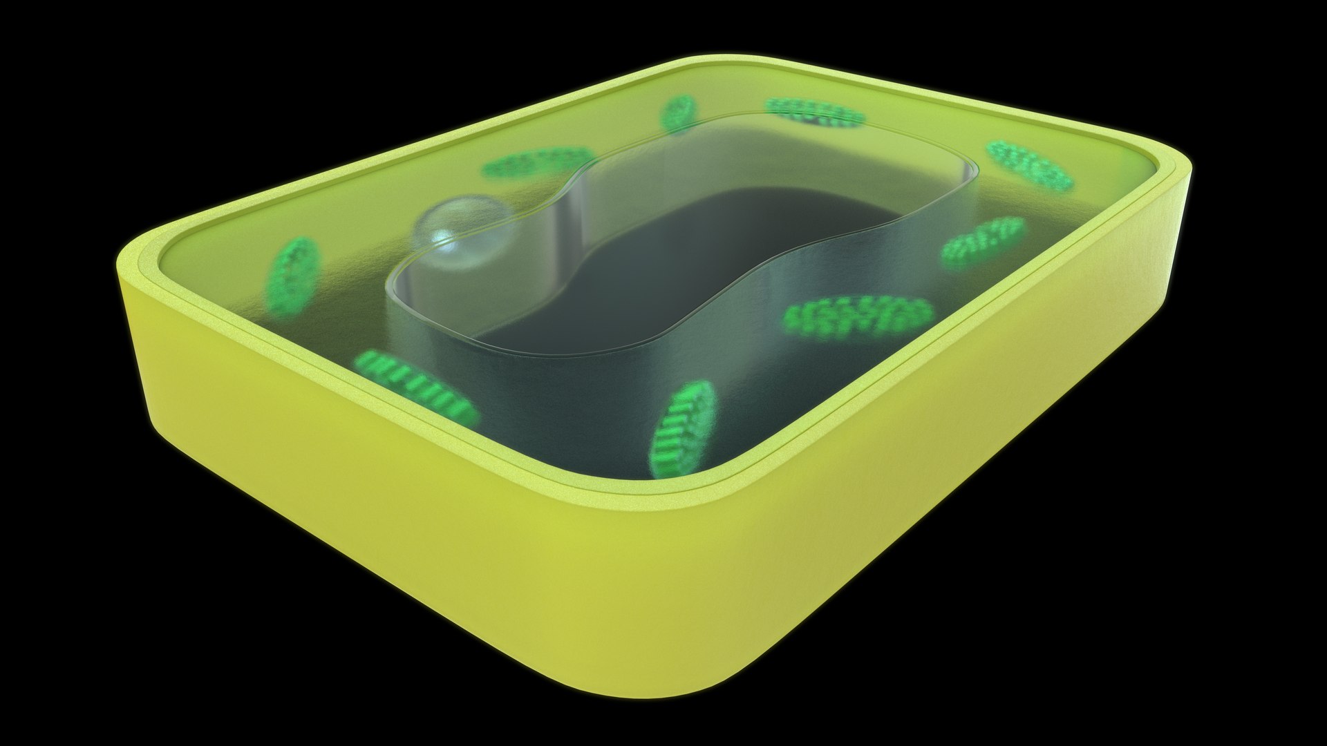 Cytoplasm 3D - TurboSquid 2205393