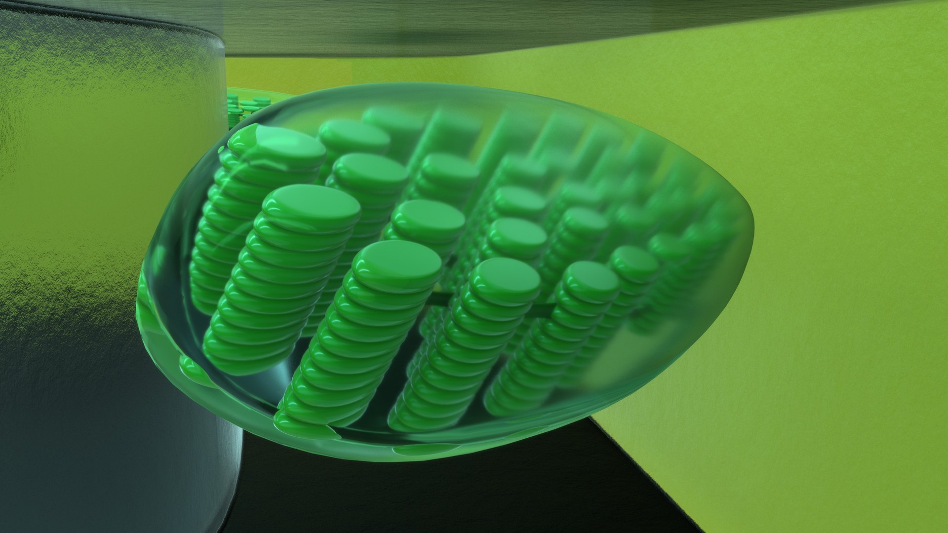 Cytoplasm 3D - TurboSquid 2205393