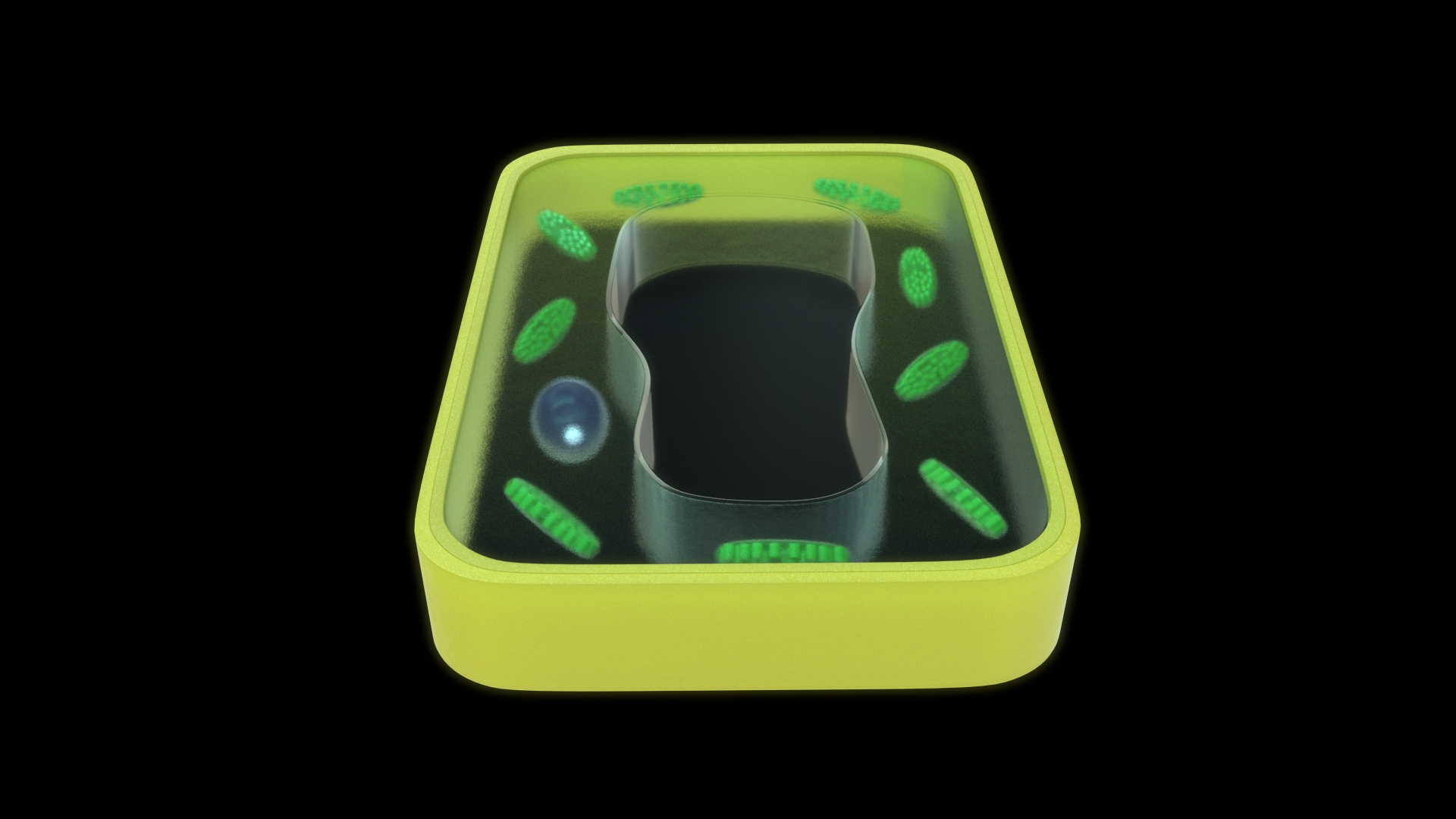 Cytoplasm 3D - TurboSquid 2205393