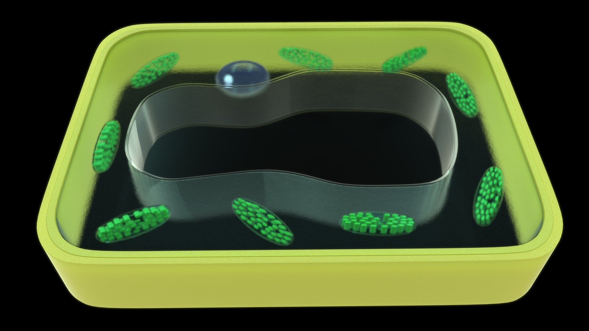 Cytoplasm 3D - TurboSquid 2205393