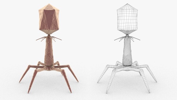 3D Bacteriophage - TurboSquid 1829687