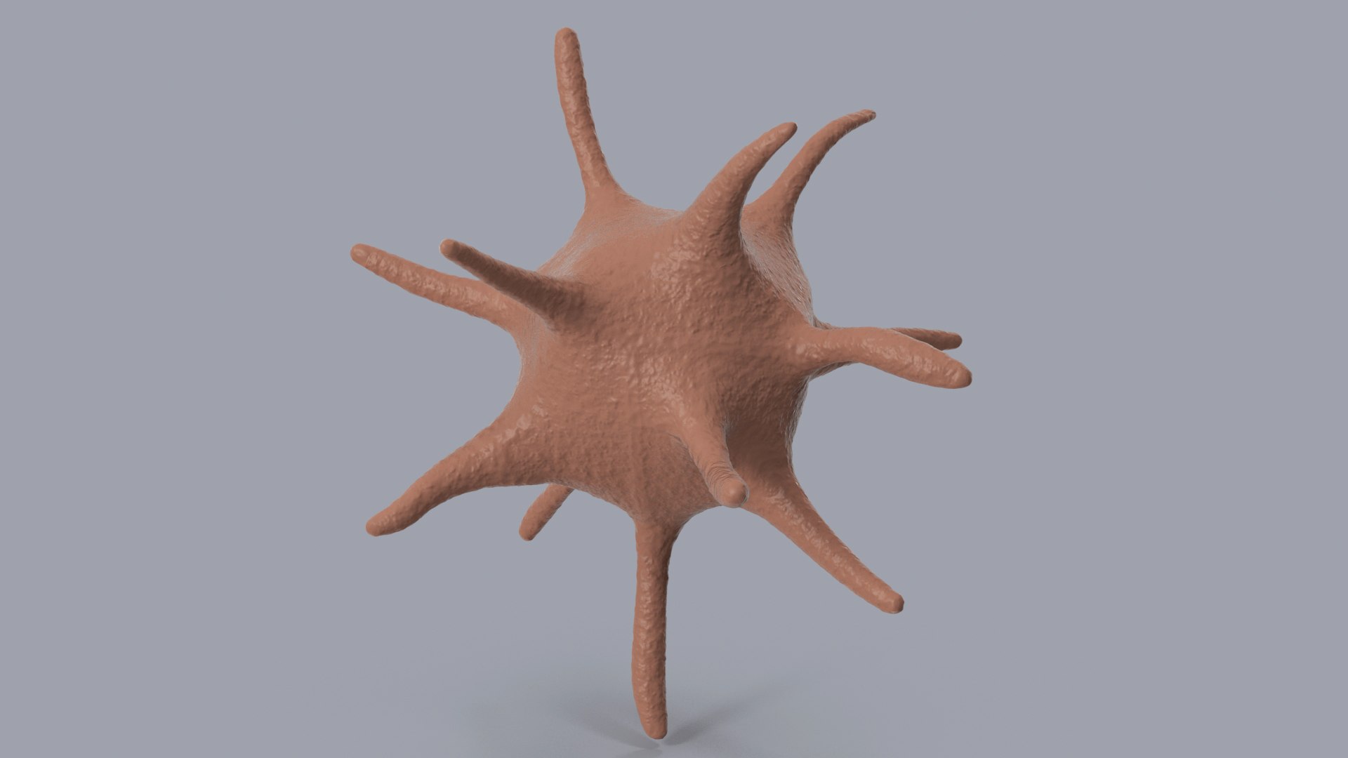 3D Model Platelet Blood Cell - TurboSquid 2128814
