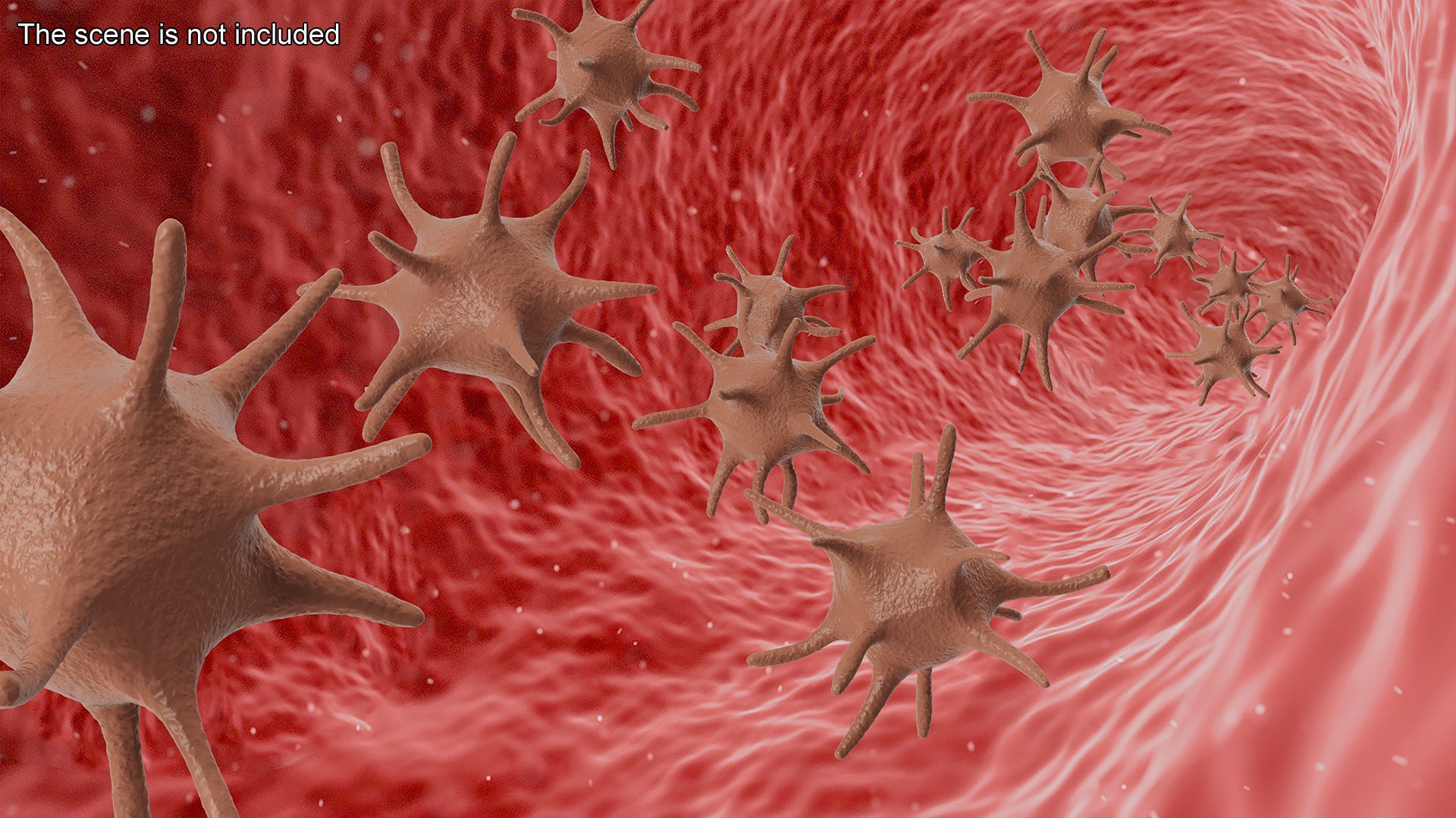 3D Model Platelet Blood Cell - TurboSquid 2128814