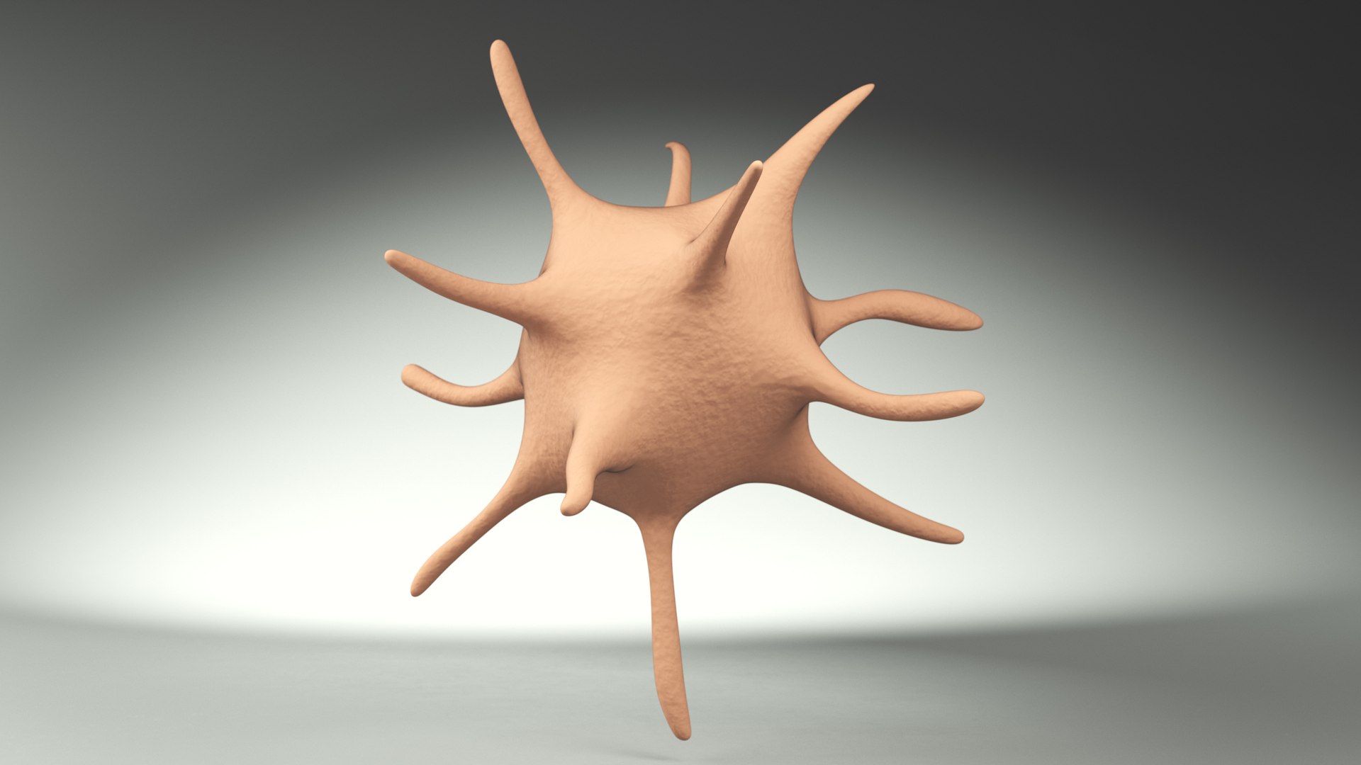 3D Model Platelet Blood Cell - TurboSquid 2128814