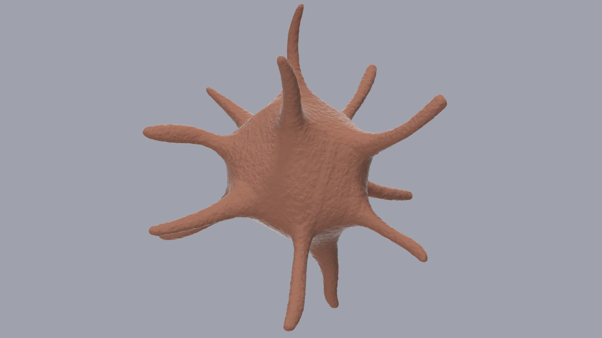 3D Model Platelet Blood Cell - TurboSquid 2128814