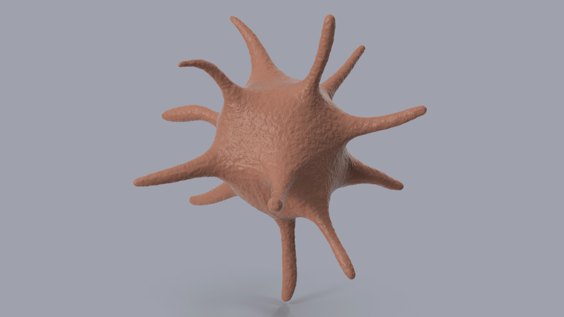 3D model Platelet Blood Cell - TurboSquid 2128814