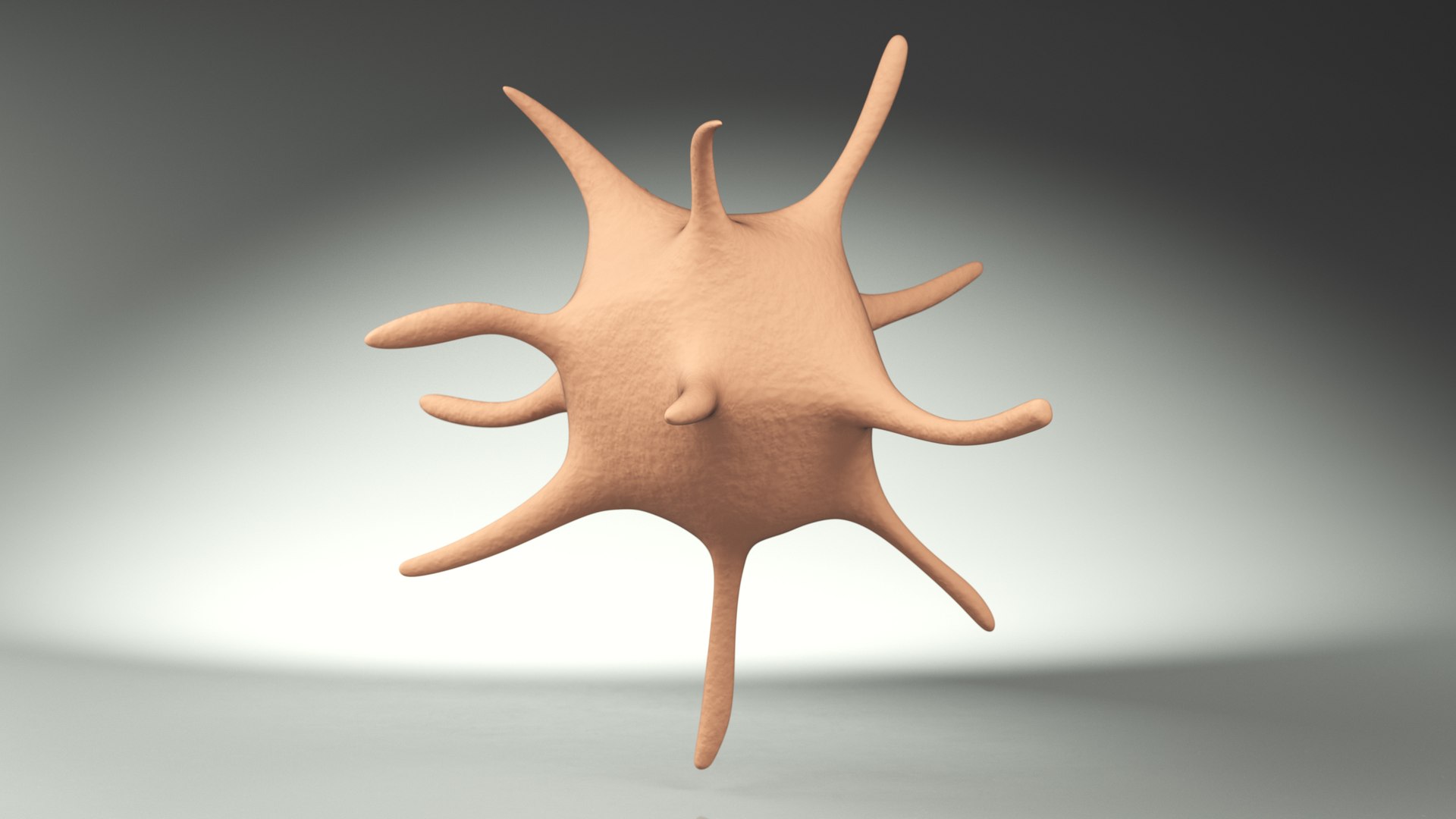 3D Model Platelet Blood Cell - TurboSquid 2128814