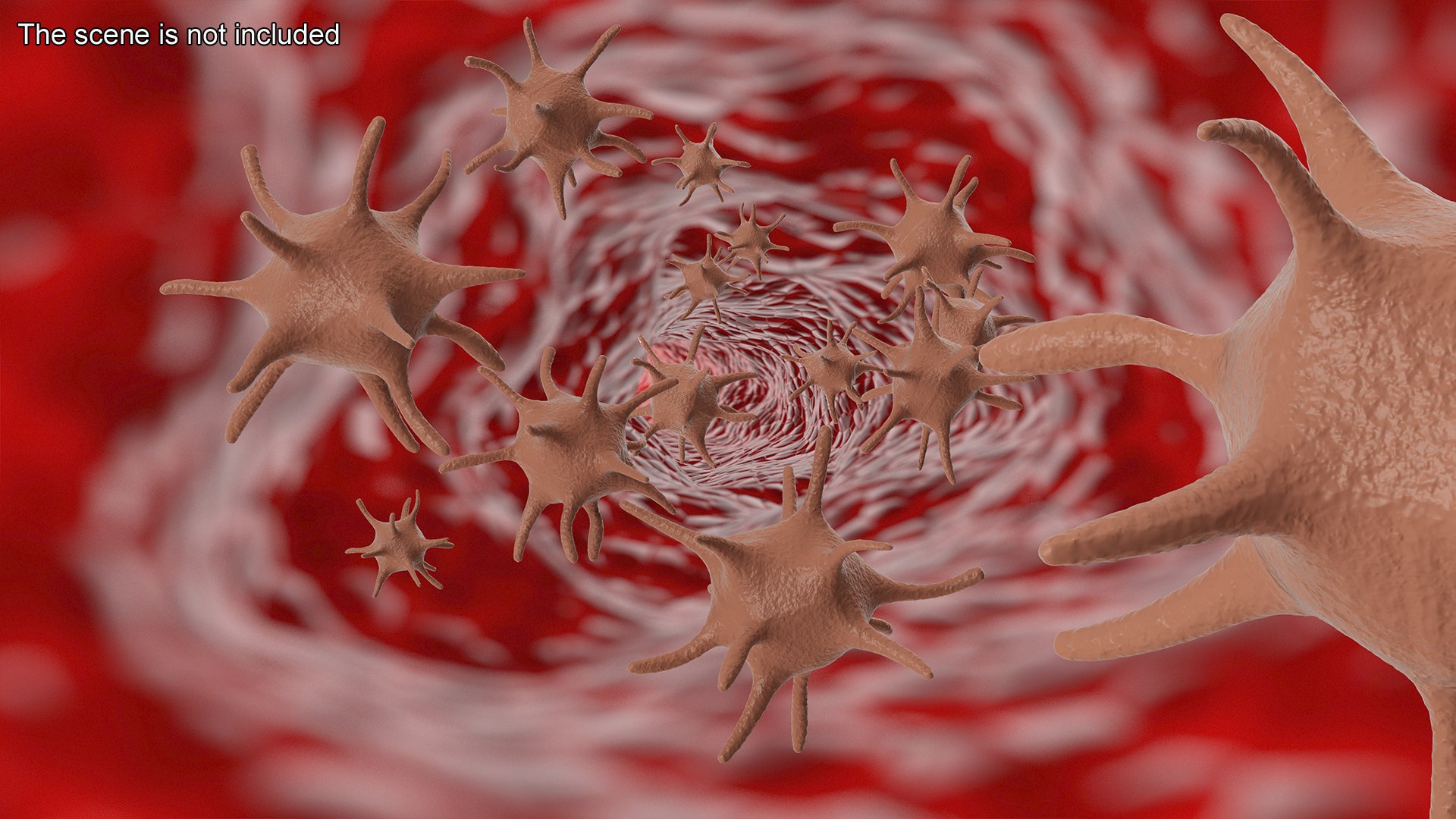 3D Model Platelet Blood Cell - TurboSquid 2128814