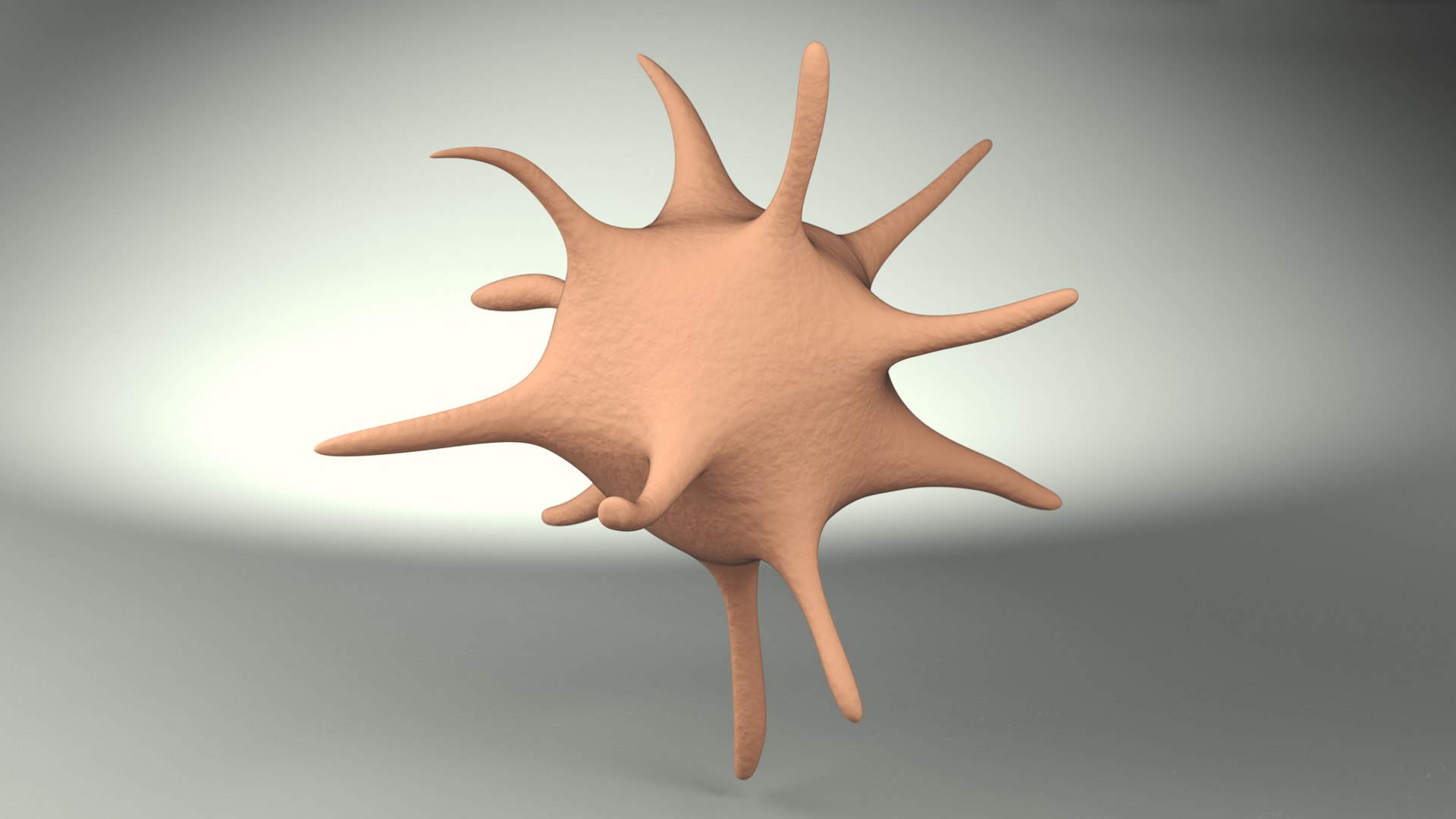 3D Model Platelet Blood Cell - TurboSquid 2128814