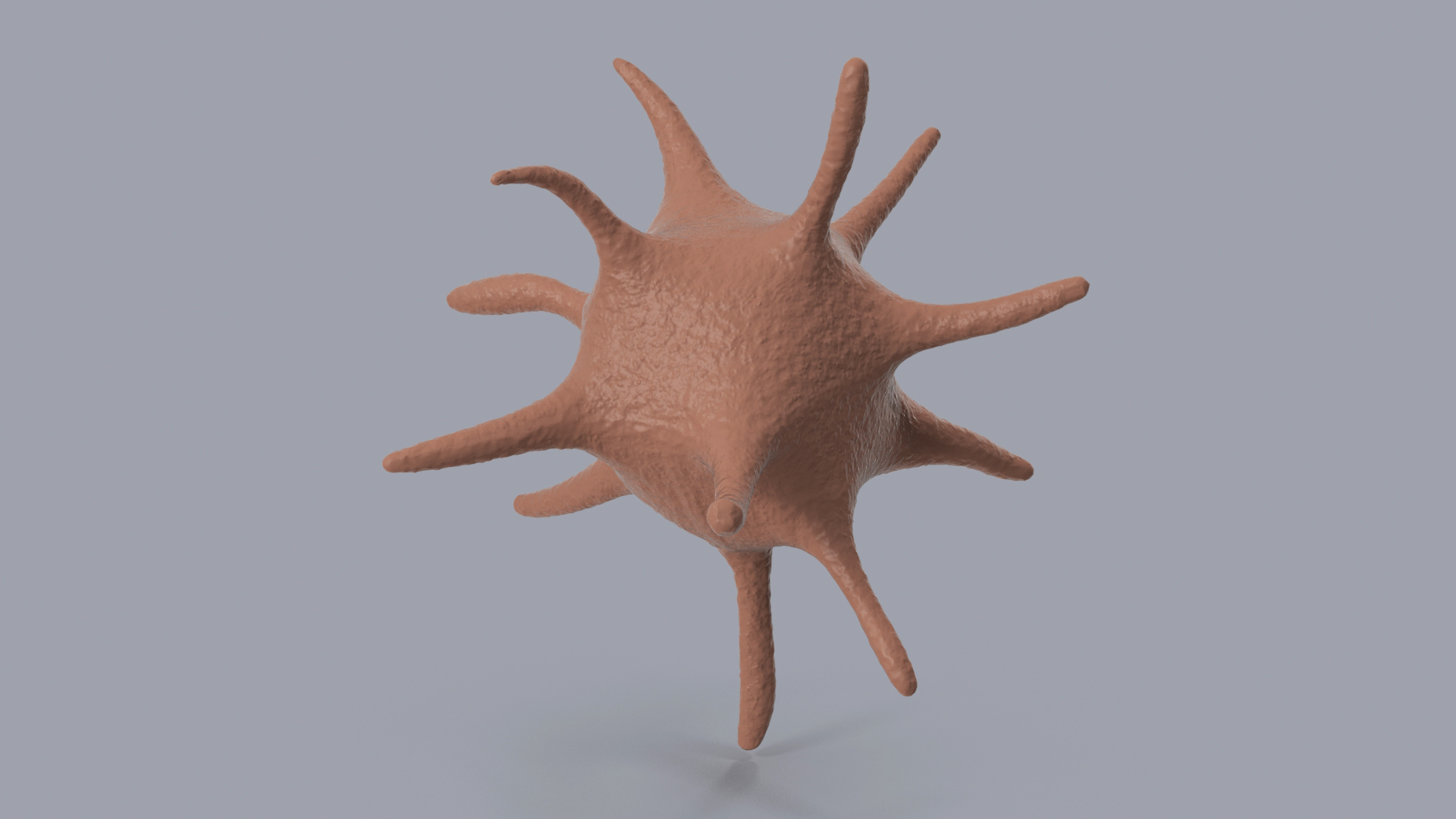 3D Model Platelet Blood Cell - TurboSquid 2128814