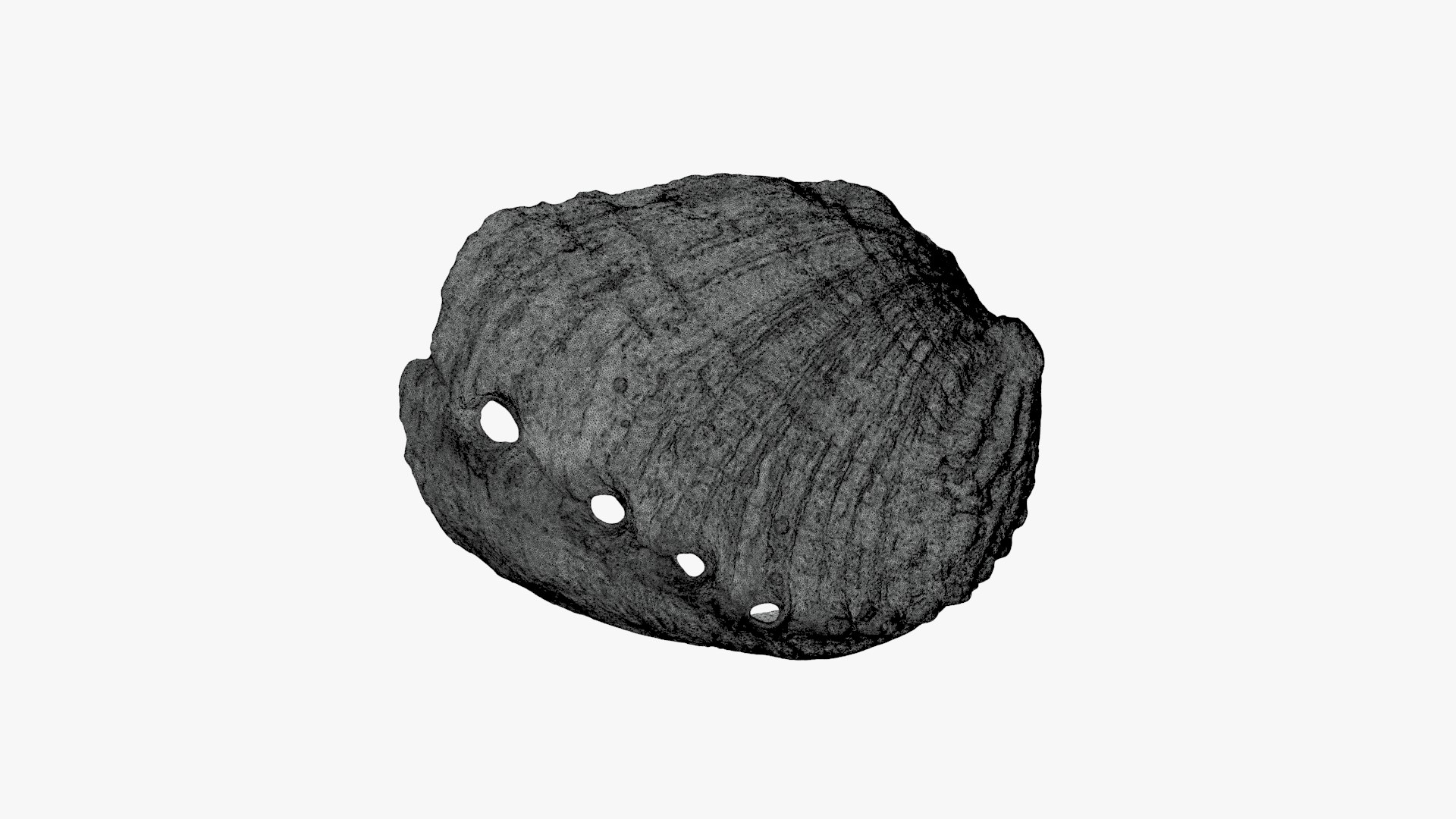 Abalone Shell For 3D Print 3D Model - TurboSquid 2334433