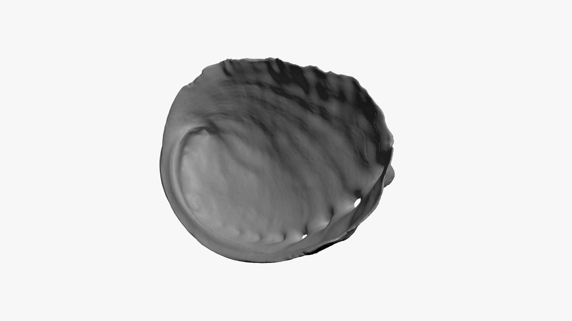 Abalone Shell For 3D Print 3D Model - TurboSquid 2334433