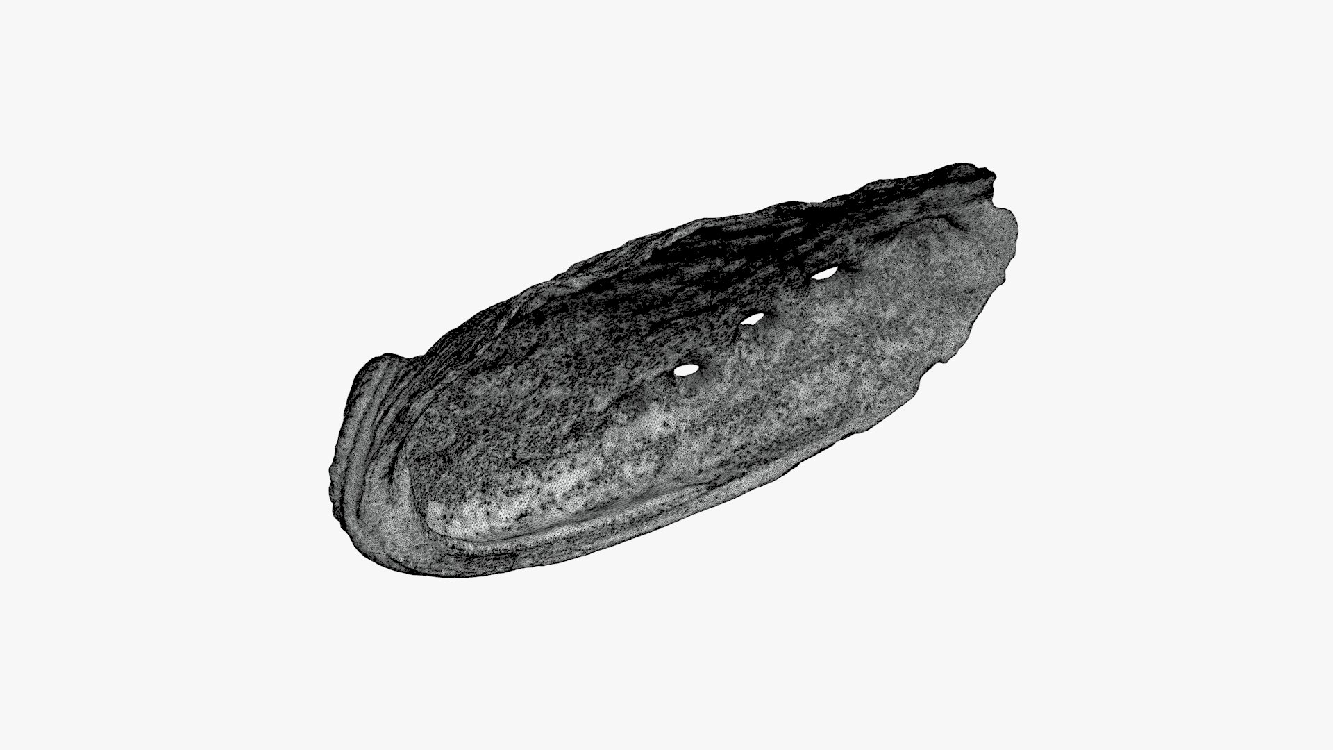 Abalone Shell For 3D Print 3D Model - TurboSquid 2334433