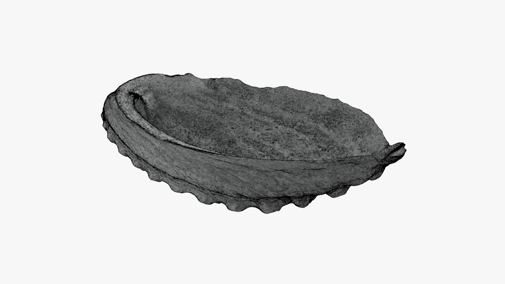 Abalone Shell For 3D Print 3D Model - TurboSquid 2334433