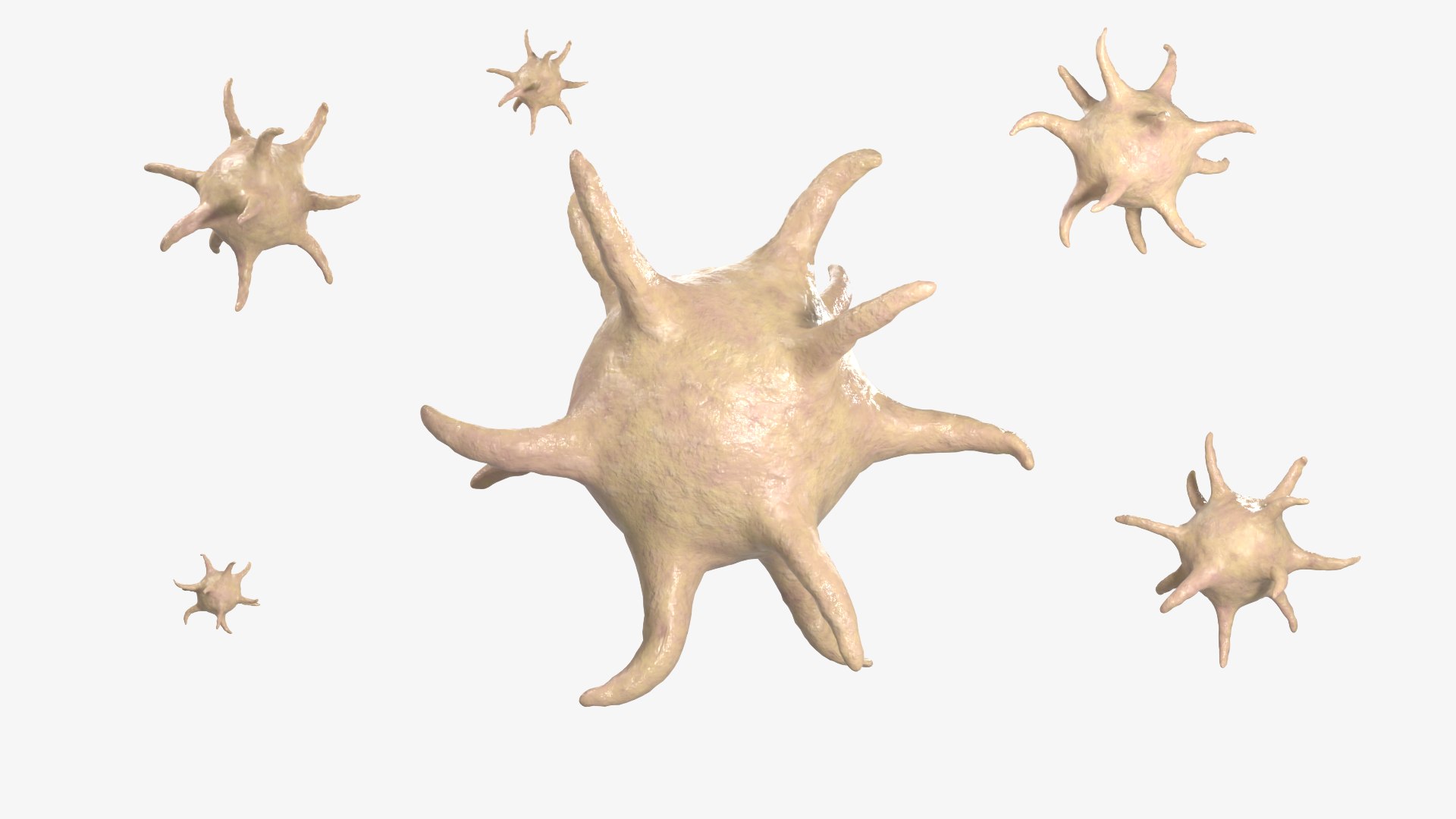 Platelet Thrombocyte Model - TurboSquid 2043812