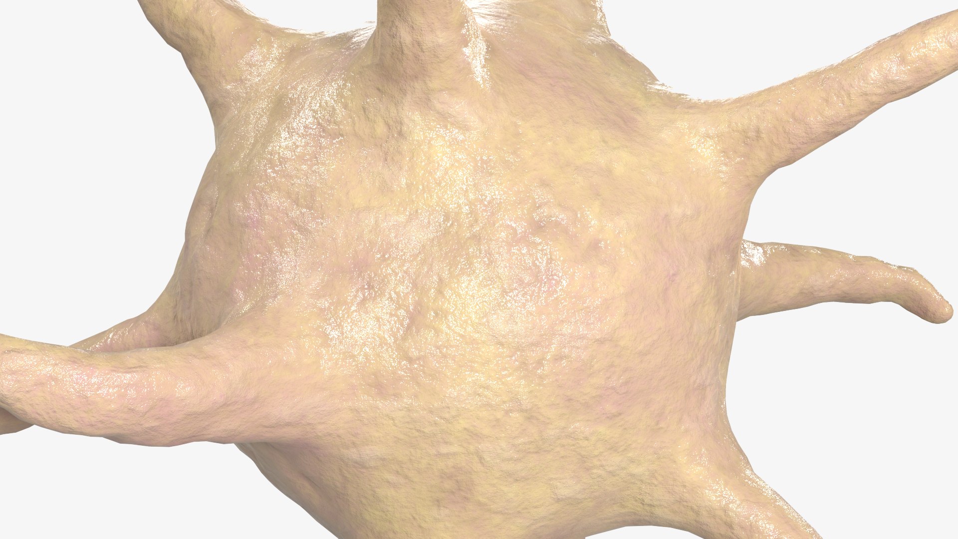 Platelet Thrombocyte Model - TurboSquid 2043812