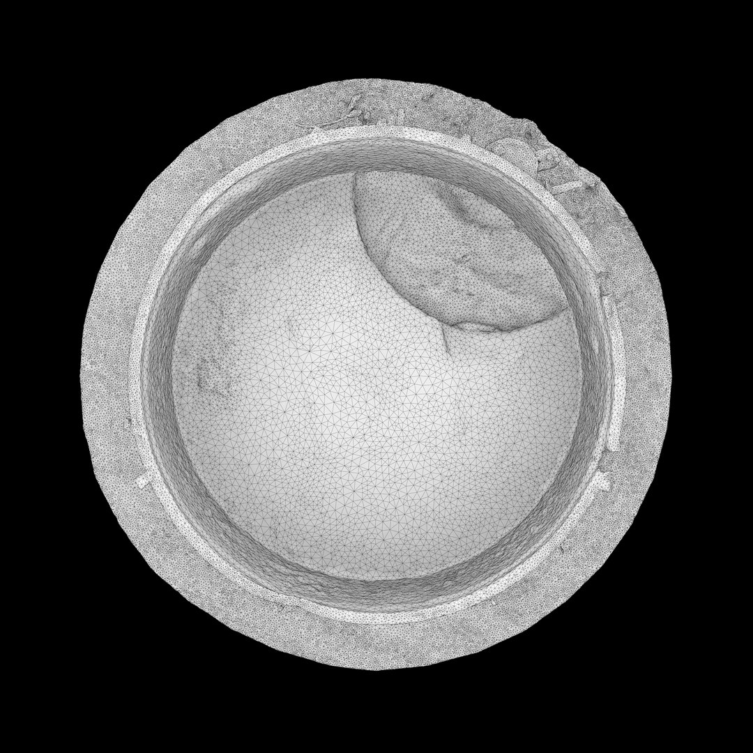 Gravel Metal RIng 01 - 3D Photogrammetry Model Scan Of Rusty Metal ...