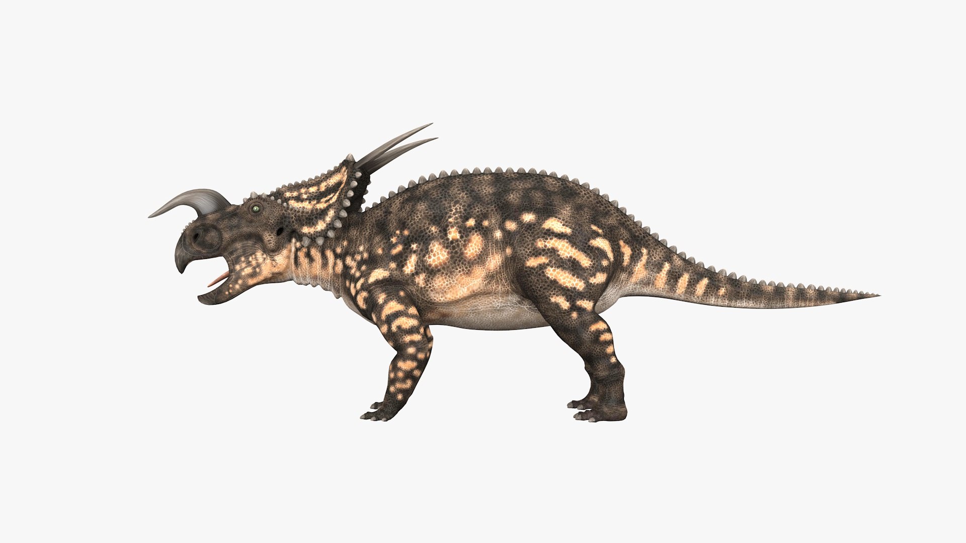 Einiosaurus Dinosaur 3D Model - TurboSquid 2341354