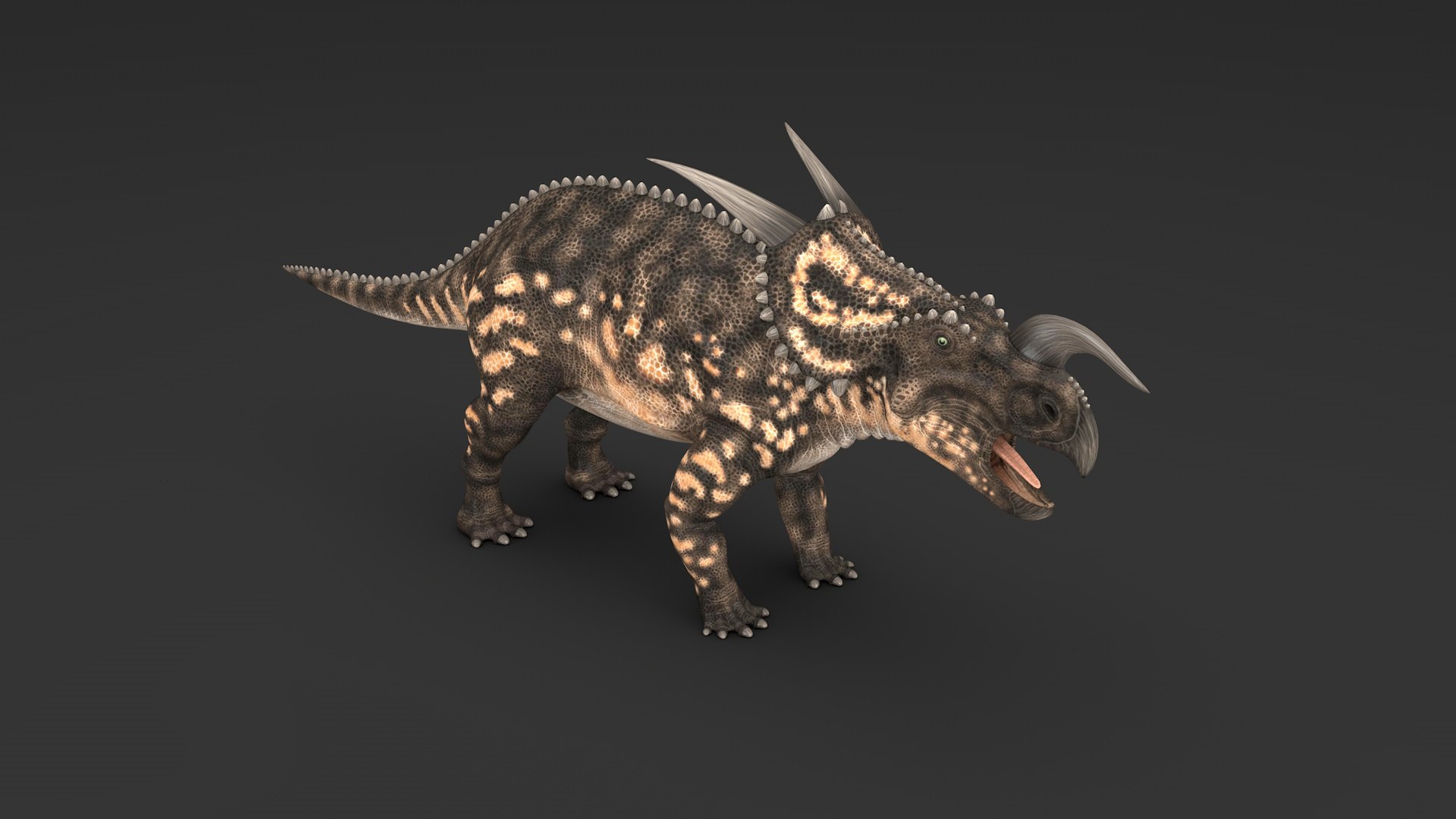 Einiosaurus Dinosaur 3D Model - TurboSquid 2341354