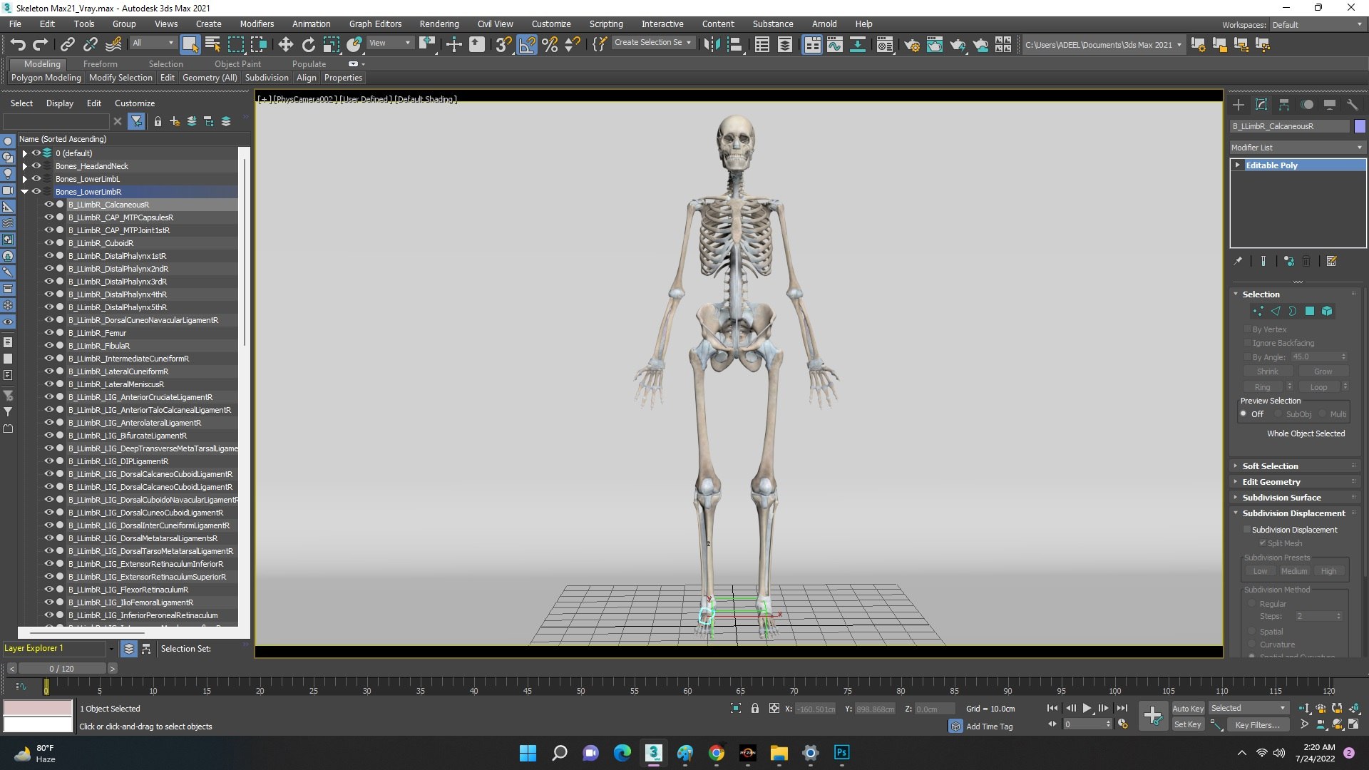 Human Skeleton 3D Model - TurboSquid 1931838