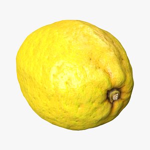 Lemon Blender Models for Download | TurboSquid
