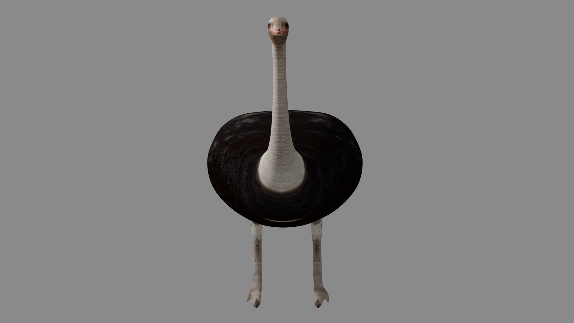 3D Ostrich OBJ - TurboSquid 2162641