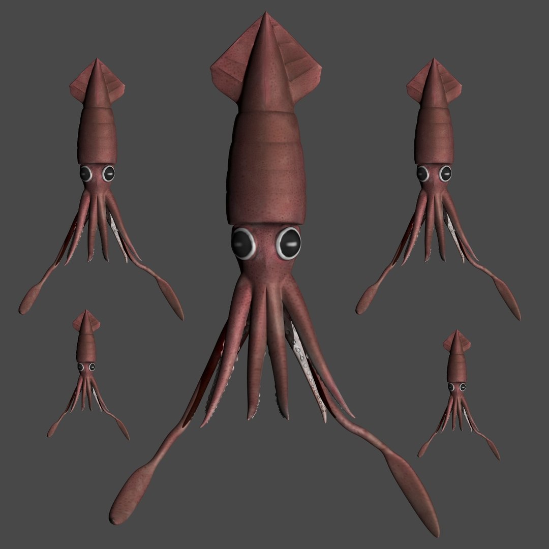 Fully Rigged Squid 3D - TurboSquid 1689976