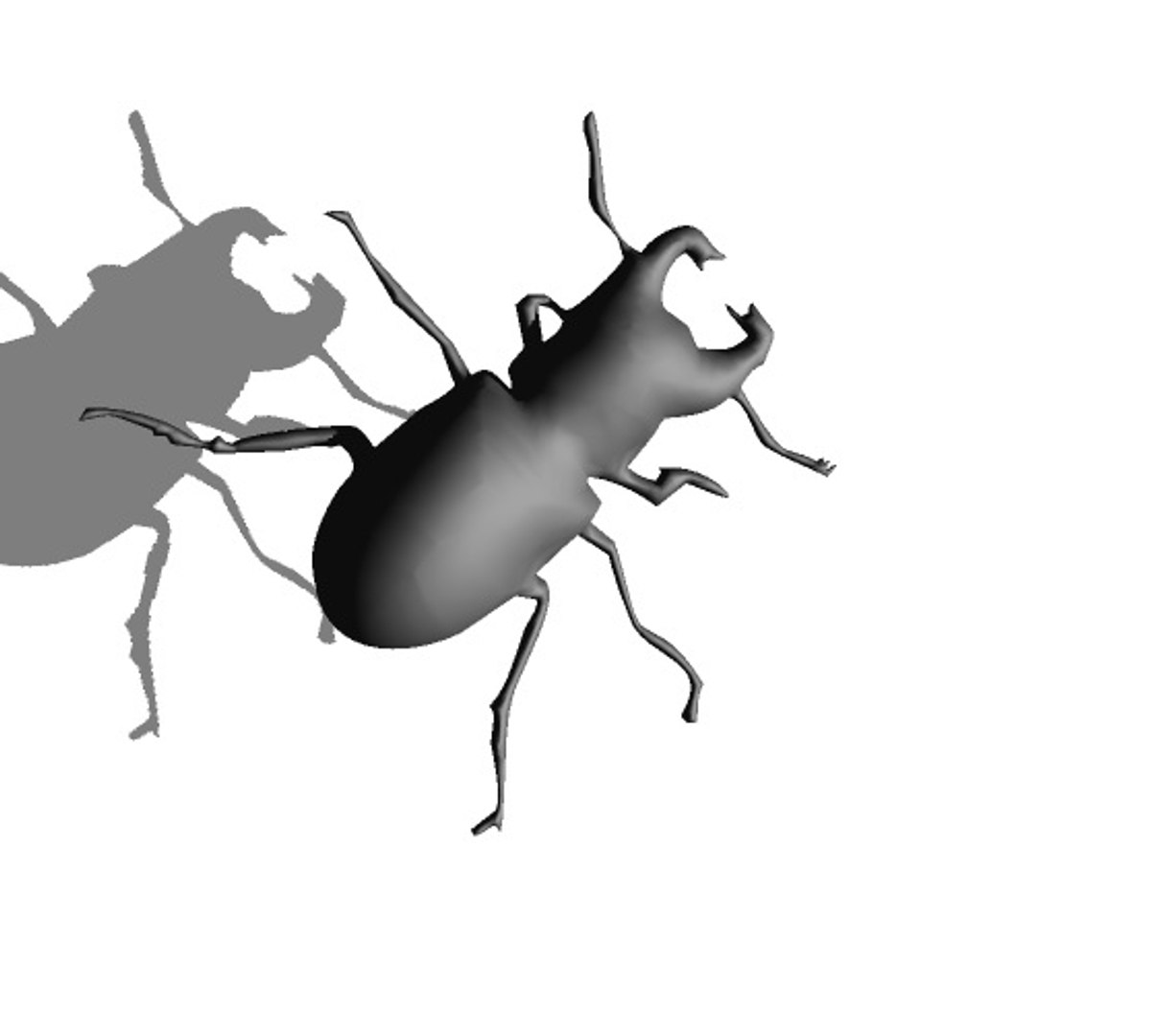 beetle bug 3d model