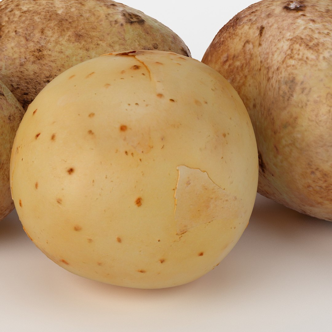 Realistic Potato Real Vegetables 3d Max