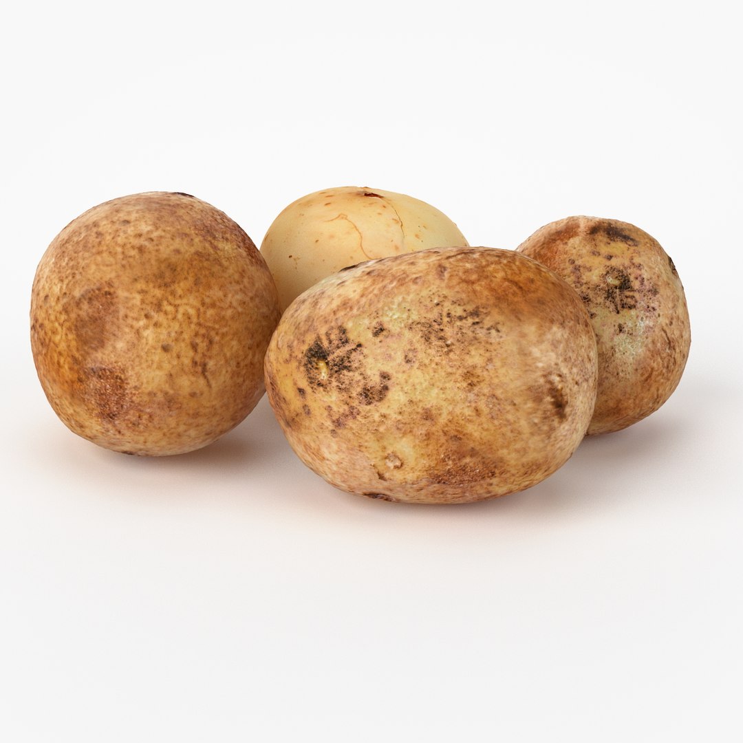 Realistic Potato Real Vegetables 3d Max