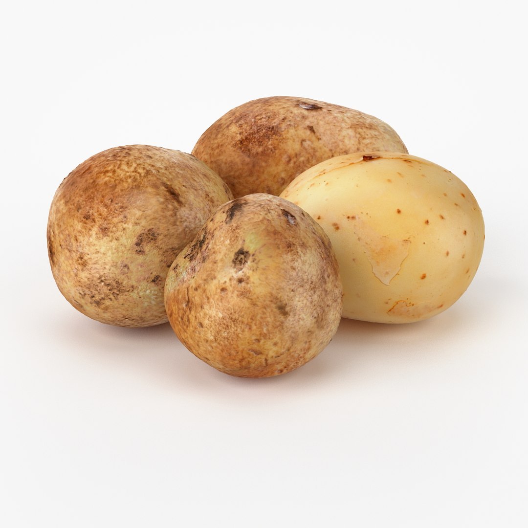 Realistic Potato Real Vegetables 3d Max