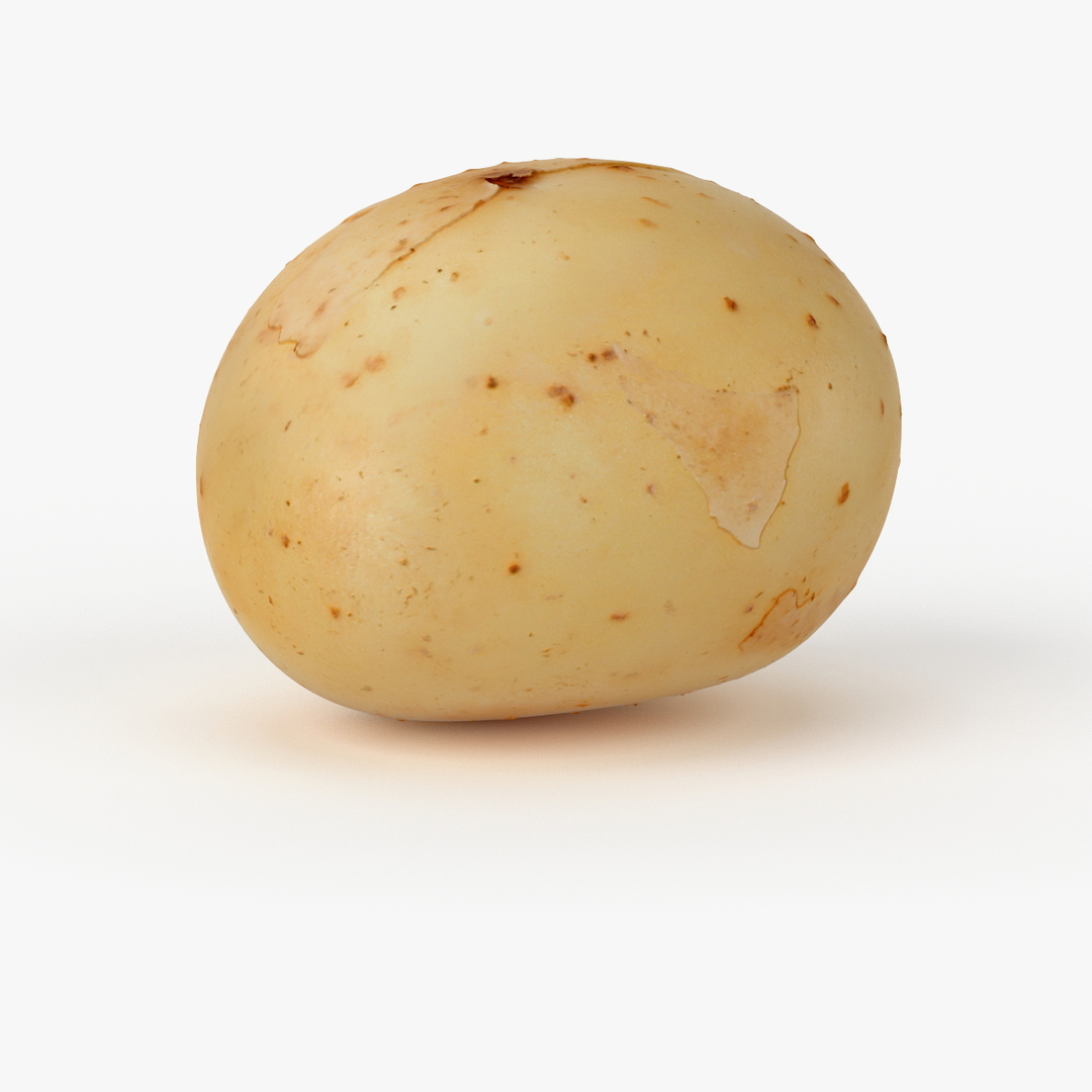 Realistic Potato Real Vegetables 3d Max