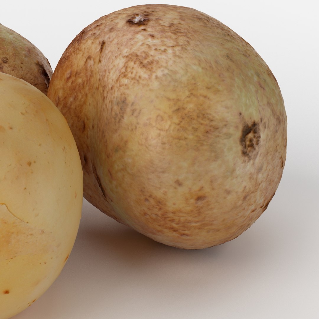 Realistic Potato Real Vegetables 3d Max